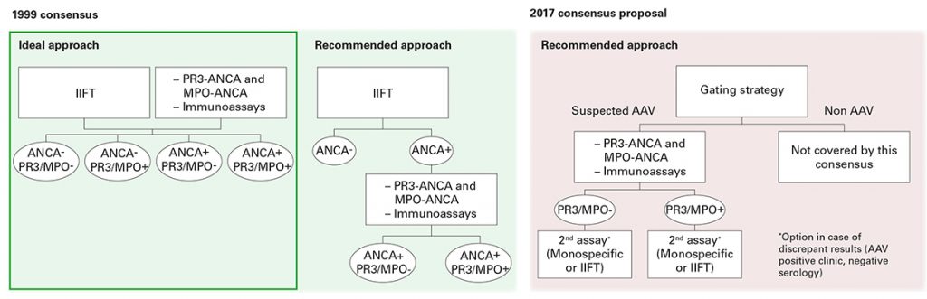 Guidelines for diagnosis and therapy of ANCA-associated vasculitides ...
