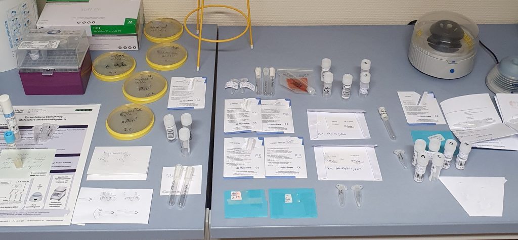 Dermatological mail-in PCR laboratories - Euroimmun Blog